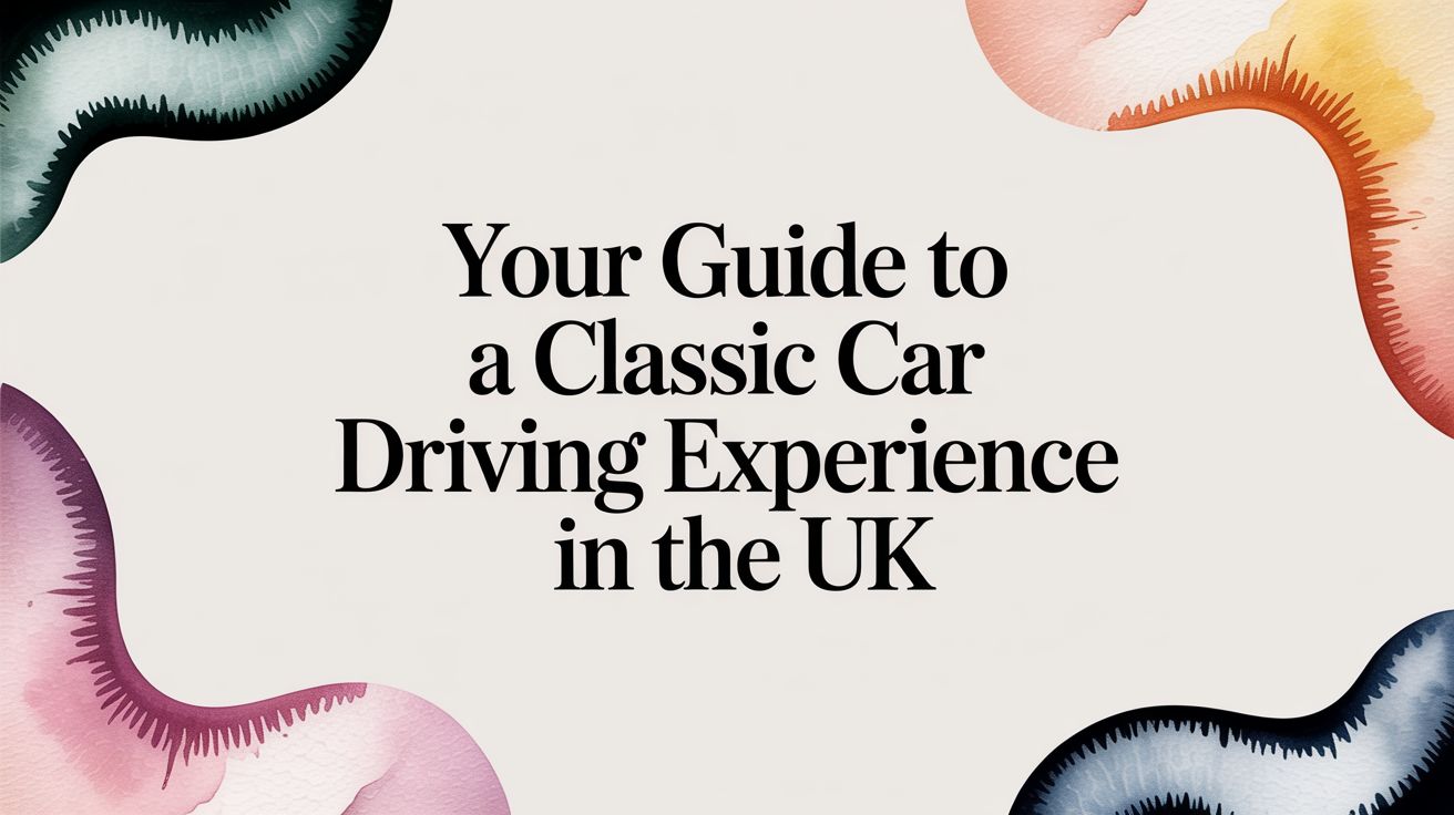 Your Guide to a Classic Car Driving Experience in the UK – Guesswhatidid