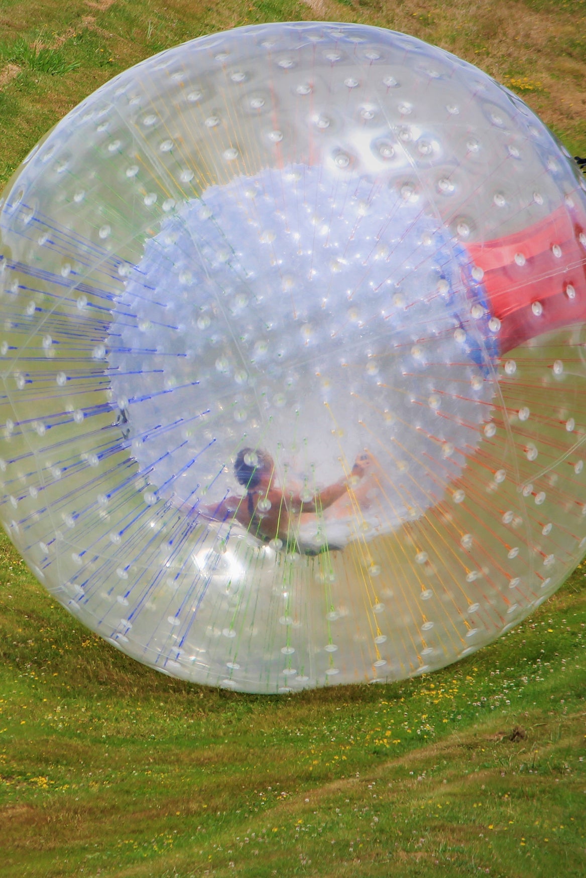 Harness Zorbing for Two – Guesswhatidid